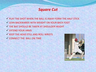cricket (loyola) nks | PPT
