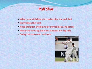 cricket (loyola) nks | PPT