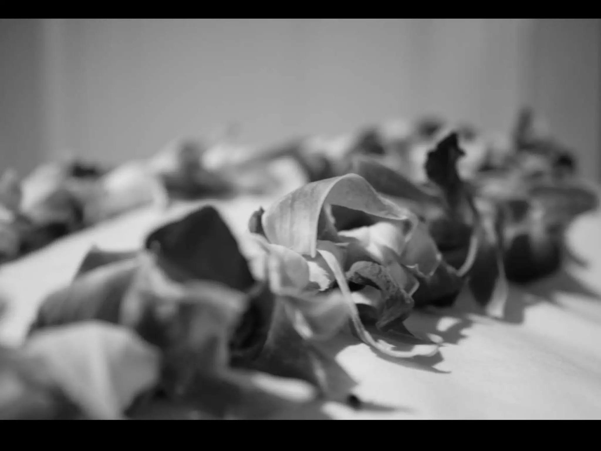First Photography Assignment | PPTX