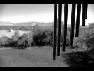 First Photography Assignment | PPT