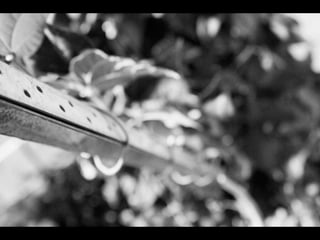 First Photography Assignment | PPT