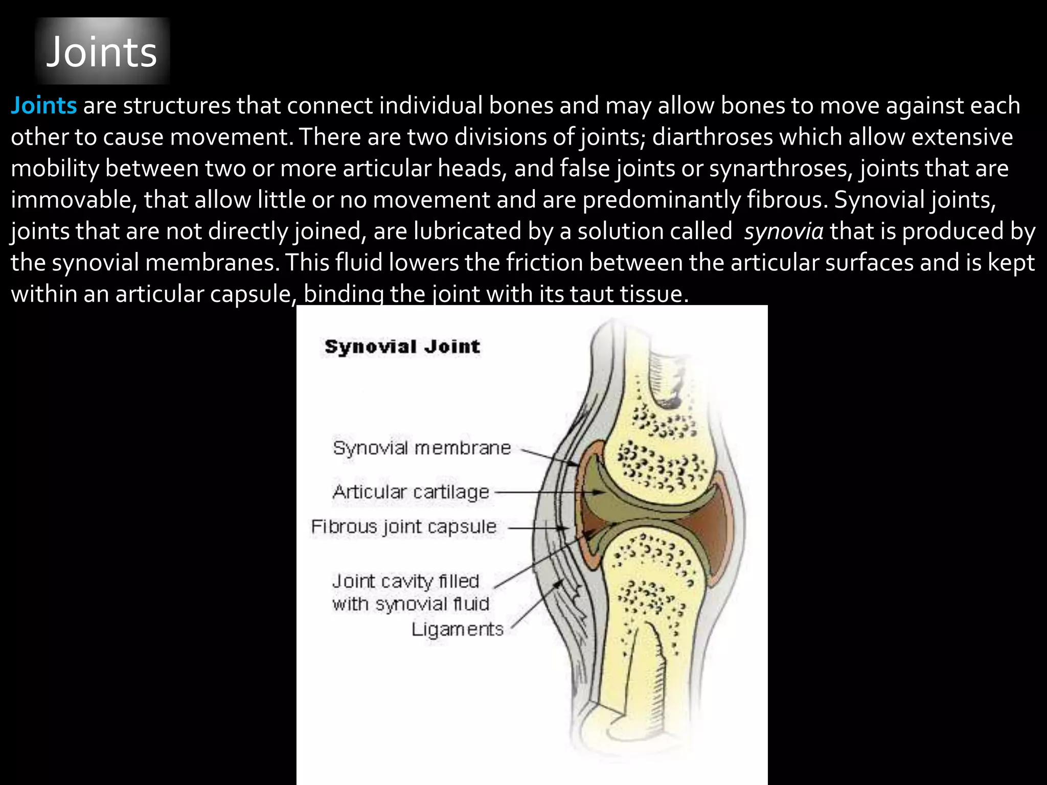 The Musculoskeletal System | PPTX