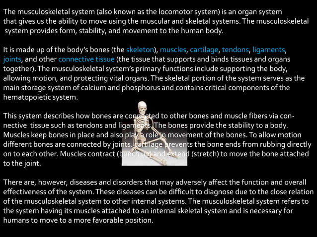 The Musculoskeletal System | PPT