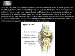 The Musculoskeletal System | PPTX