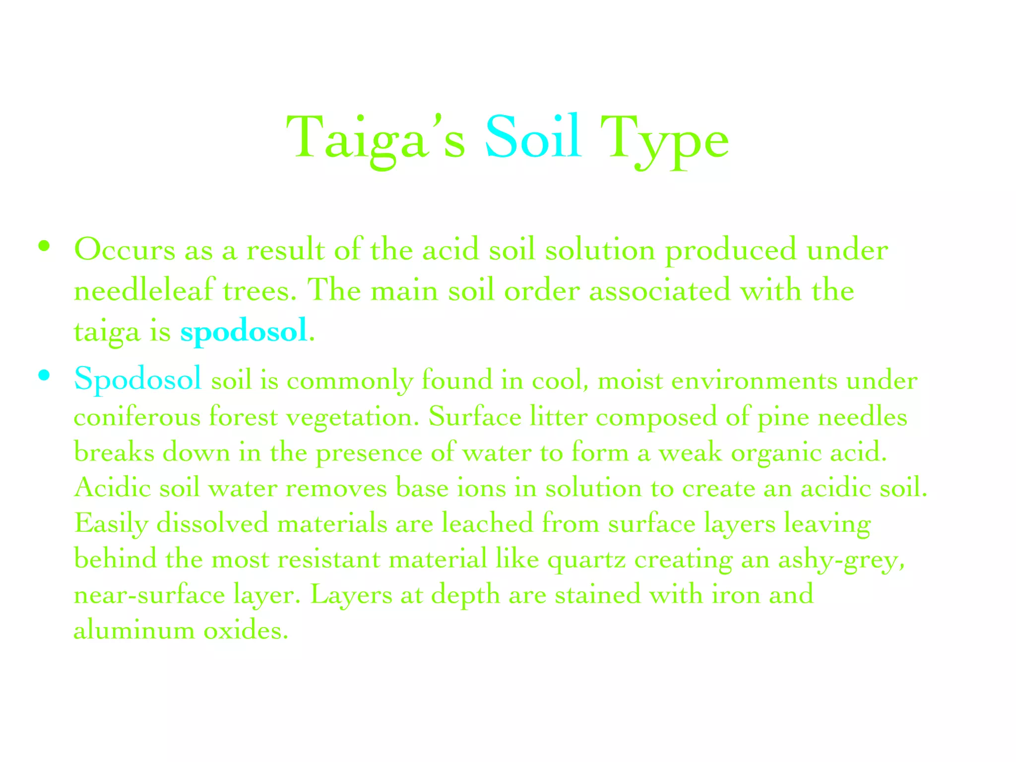 Taiga Biome (Boreal Forest) INFO | PPT