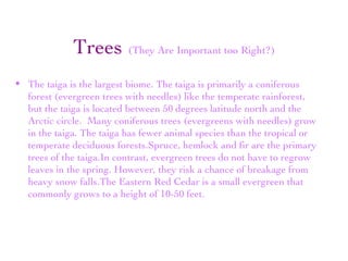 Taiga Biome (Boreal Forest) INFO | PPT