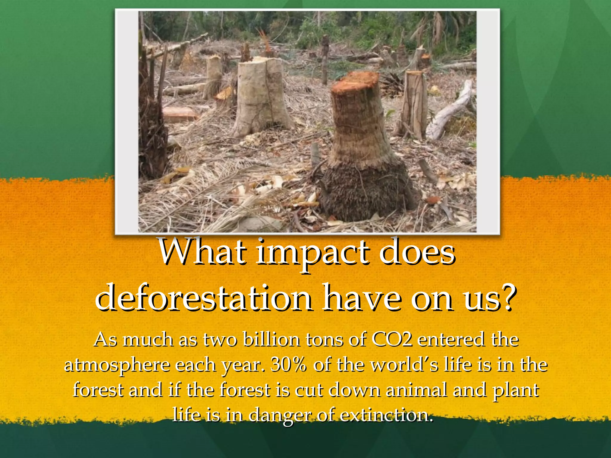 Deforestation | PPT