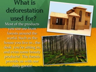 Deforestation | PPT