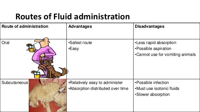 Fluid therapy of animals