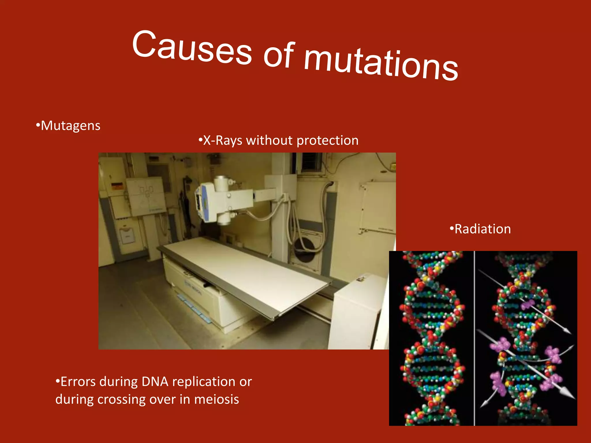 Cellular Mutation | PPTX | Genetics | Science