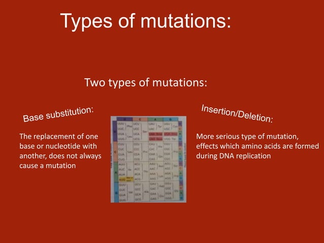 Cellular Mutation | PPTX | Genetics | Science