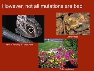 Cellular Mutation | PPTX | Genetics | Science