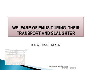 Emu project | PPTX | Endocrine and Metabolic Diseases | Diseases and ...