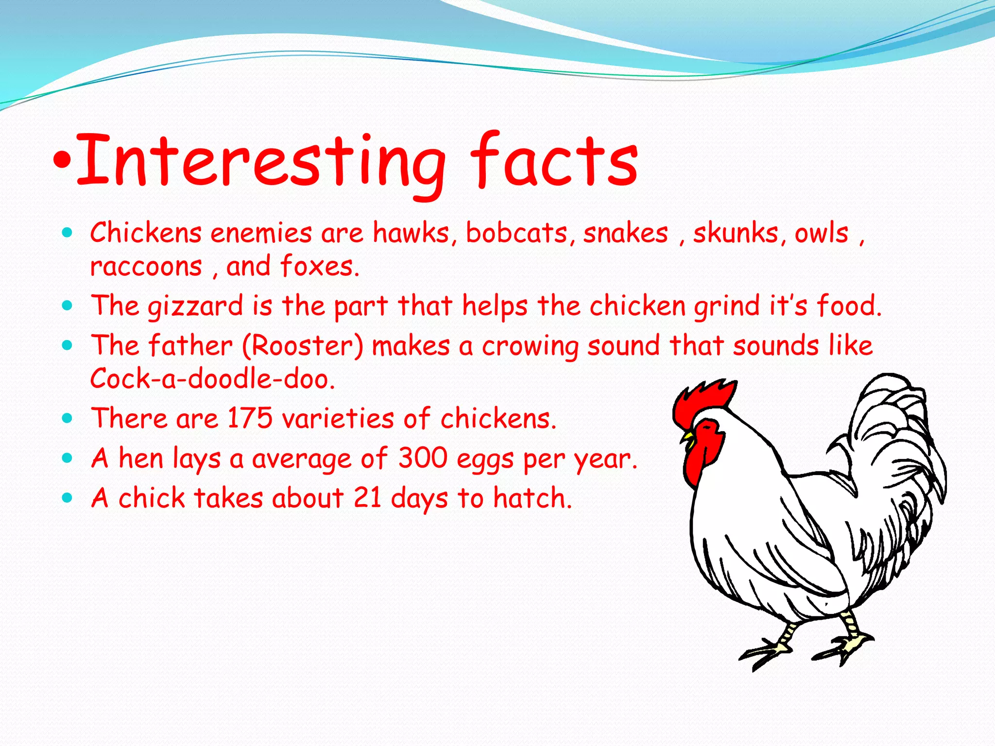 Farm Animals on Parade | PPTX