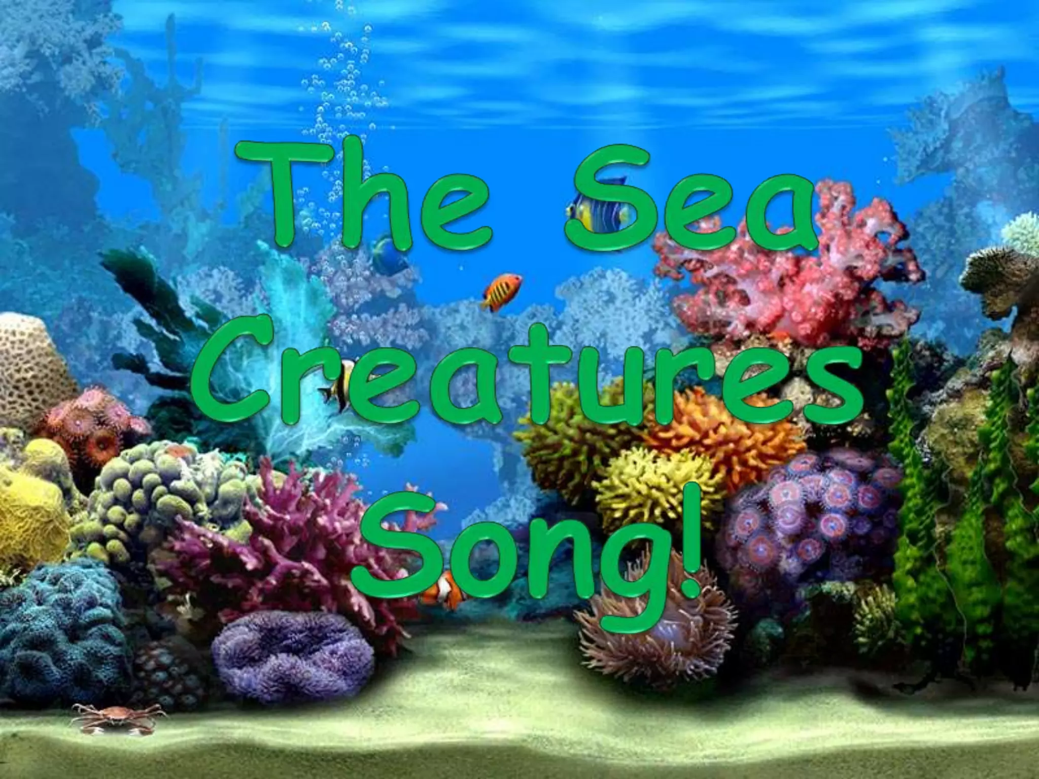 Sea Creatures Song | PPTX