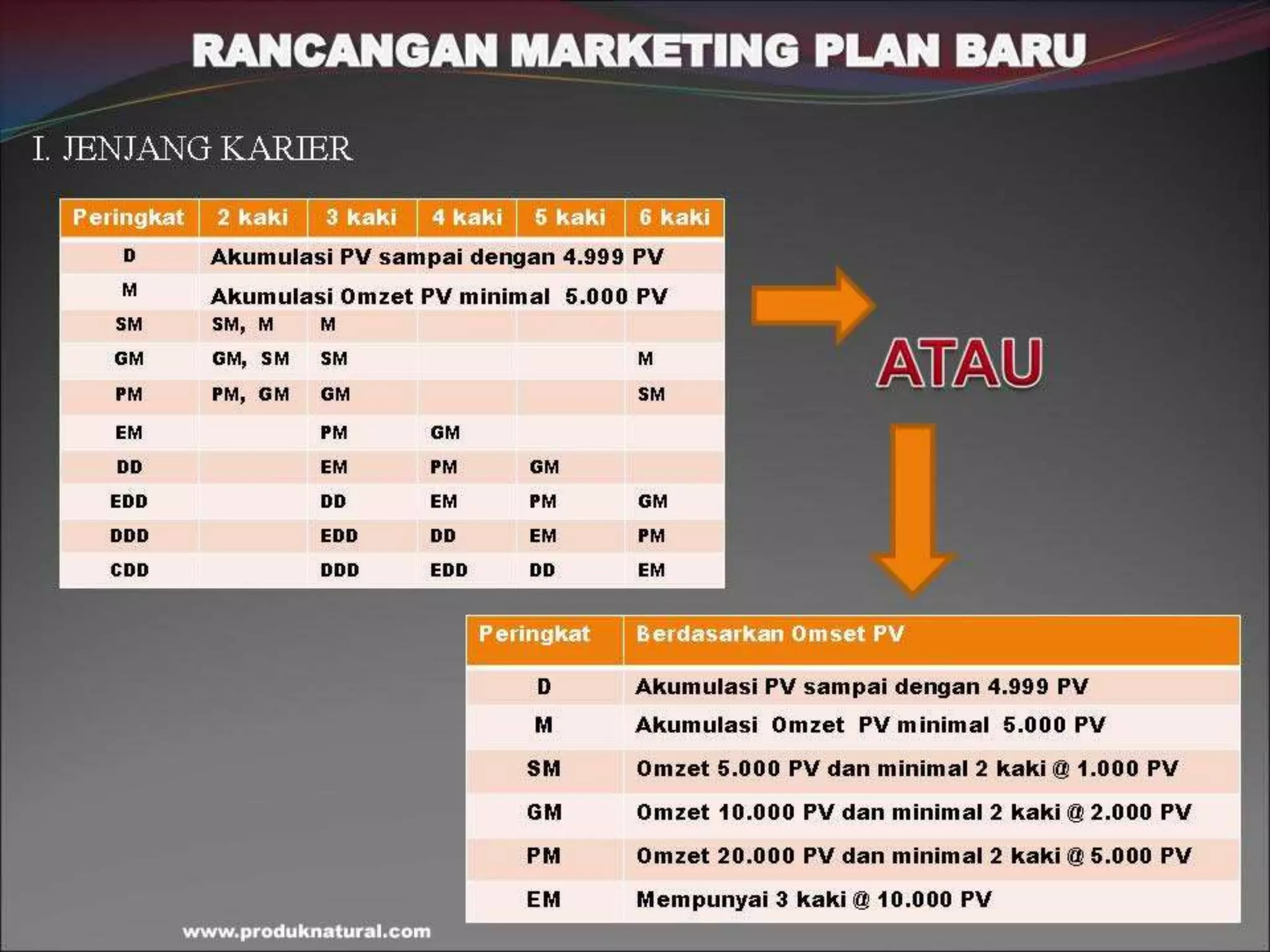 Marketing Plan NASA | PPTX