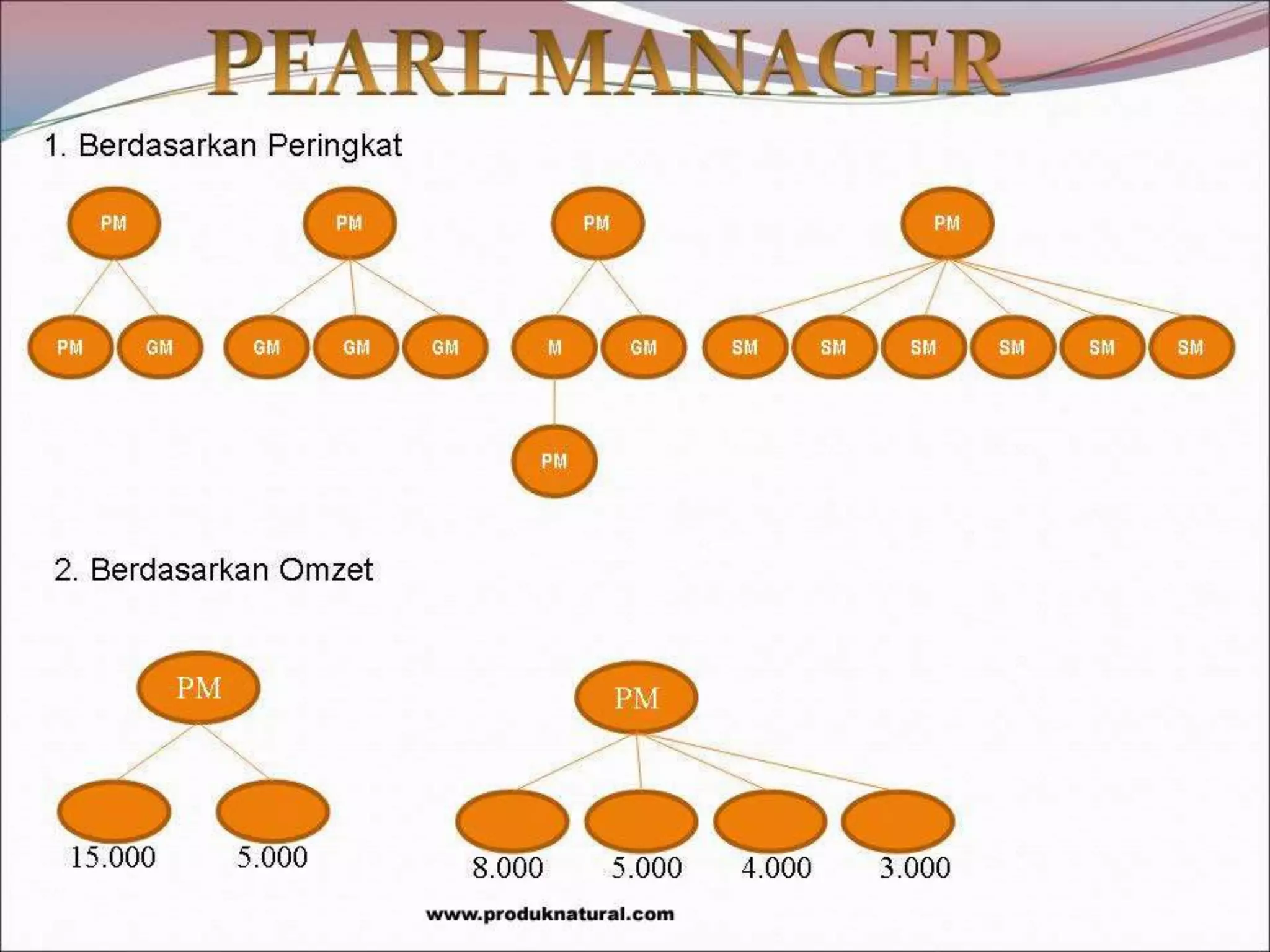 Marketing Plan NASA | PPTX