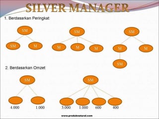 Marketing Plan NASA | PPTX