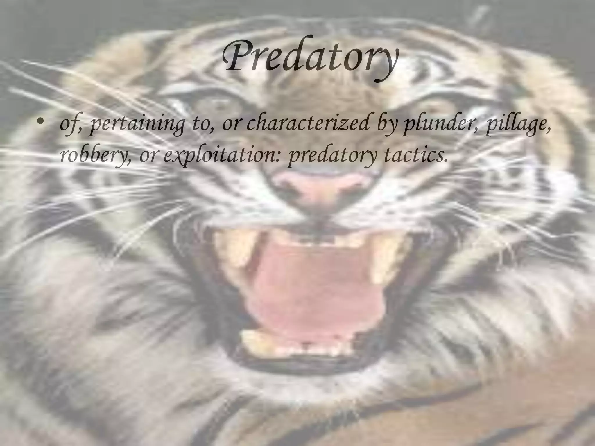 Dirk the Protector | PPT