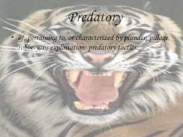 Dirk the Protector | PPT