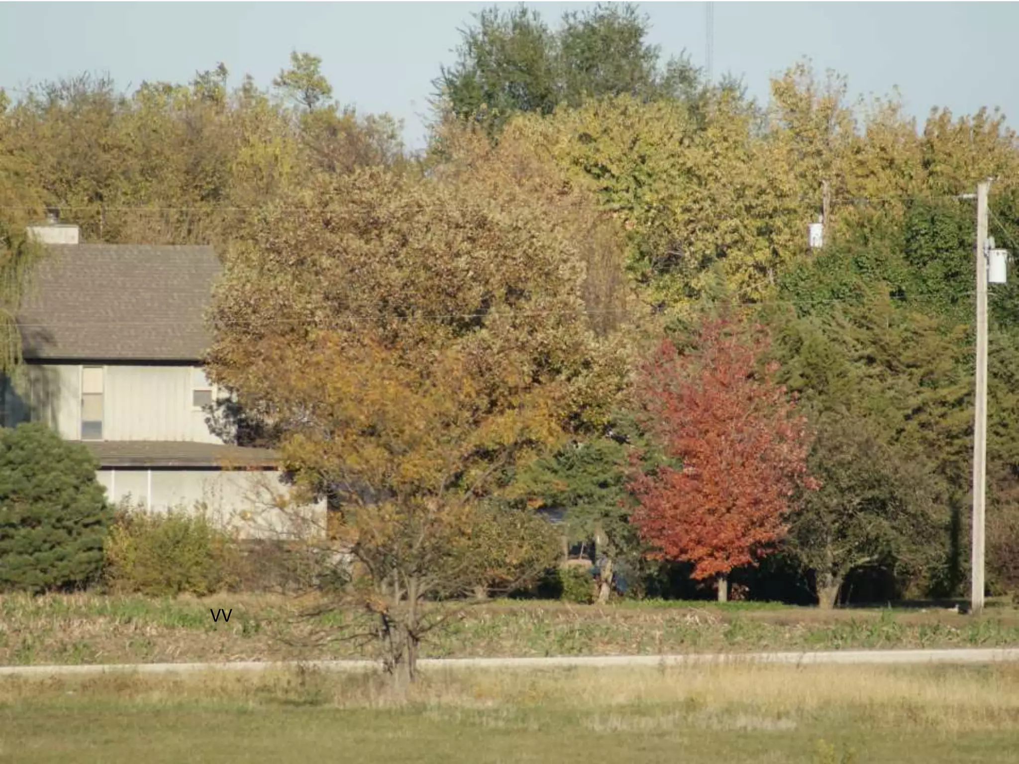 Reminders of fall | PPTX