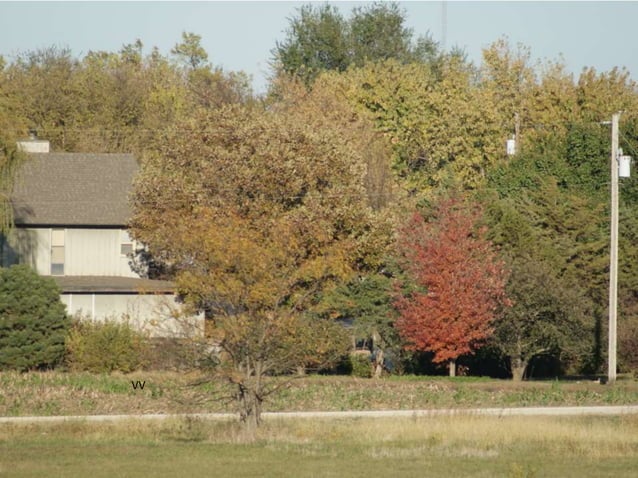 Reminders of fall | PPT