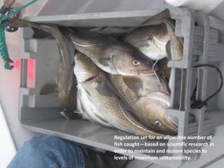 United Nations Convention on Law of the Sea (1973) | PPTX