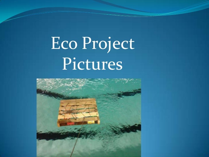 Eco Project Pictures