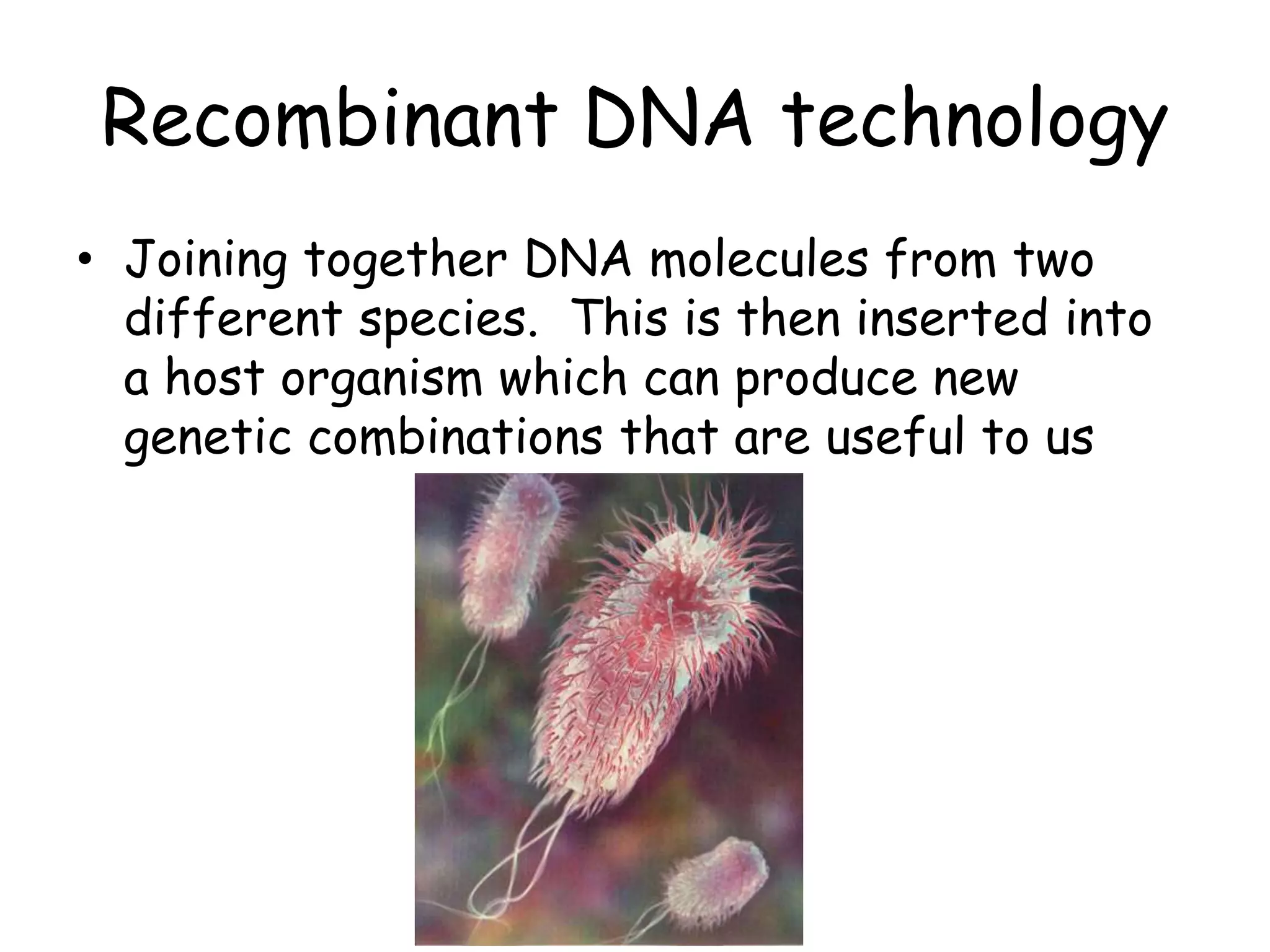 Recombinant DNA technology | PPTX