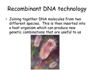 Recombinant DNA technology | PPTX