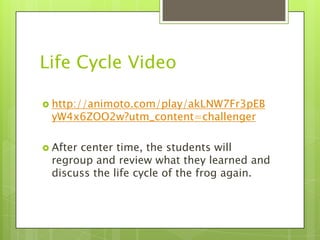 The Life Cycle of a Frog | PPTX