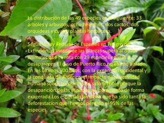 Flora de PR | PPTX