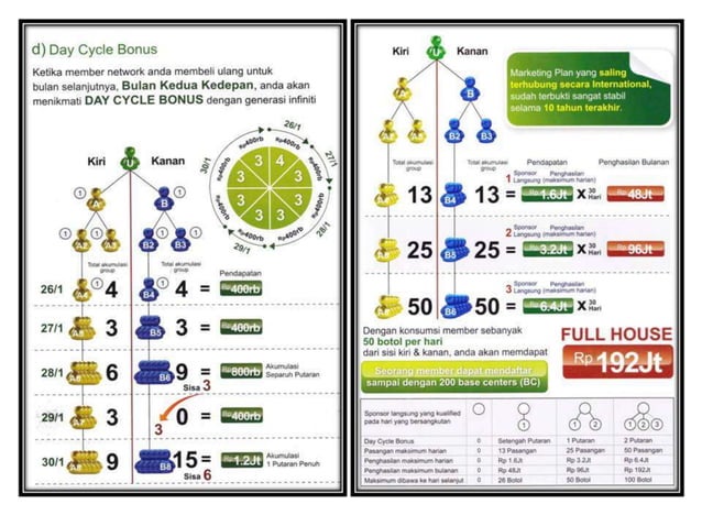 Naturally Plus Plan | PPT