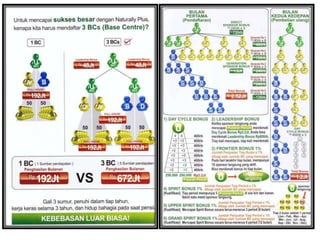 Naturally Plus Plan | PPSX