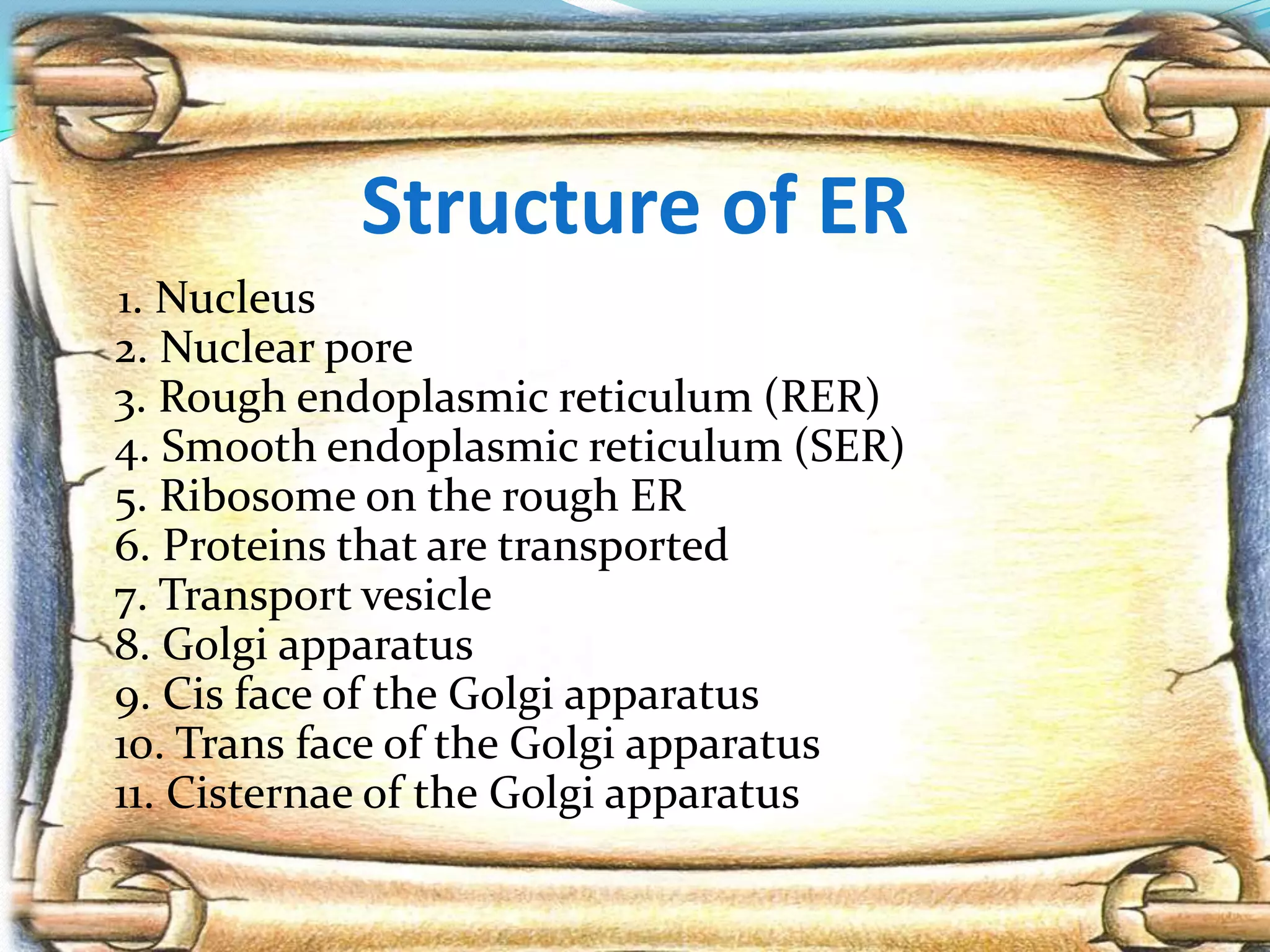 Presentation1 | PPTX