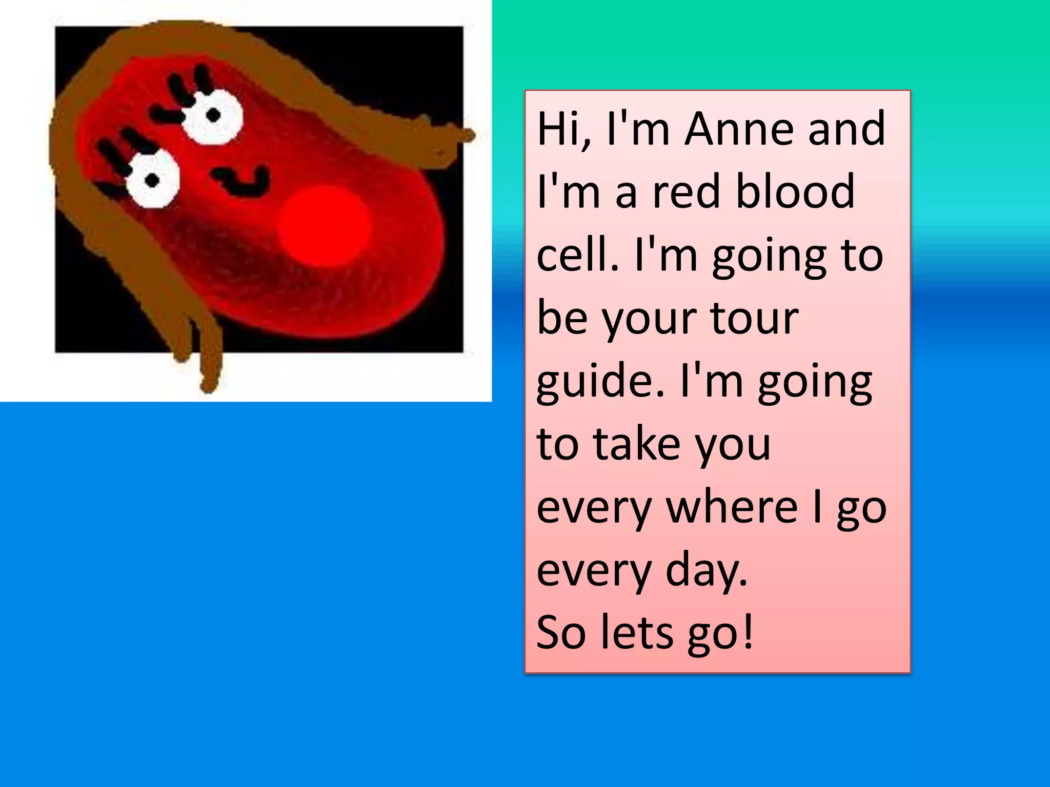 the path of red blood cell through the body to the heart | PPTX