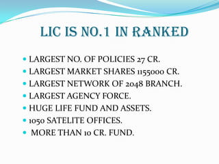 lic of india | PPTX