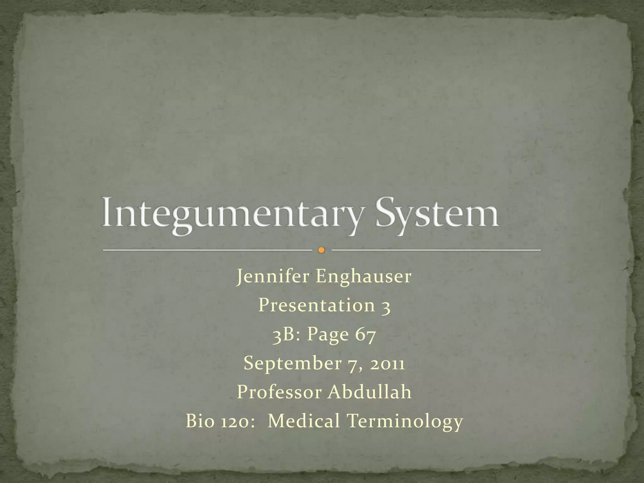 Presentation 3 | PPTX