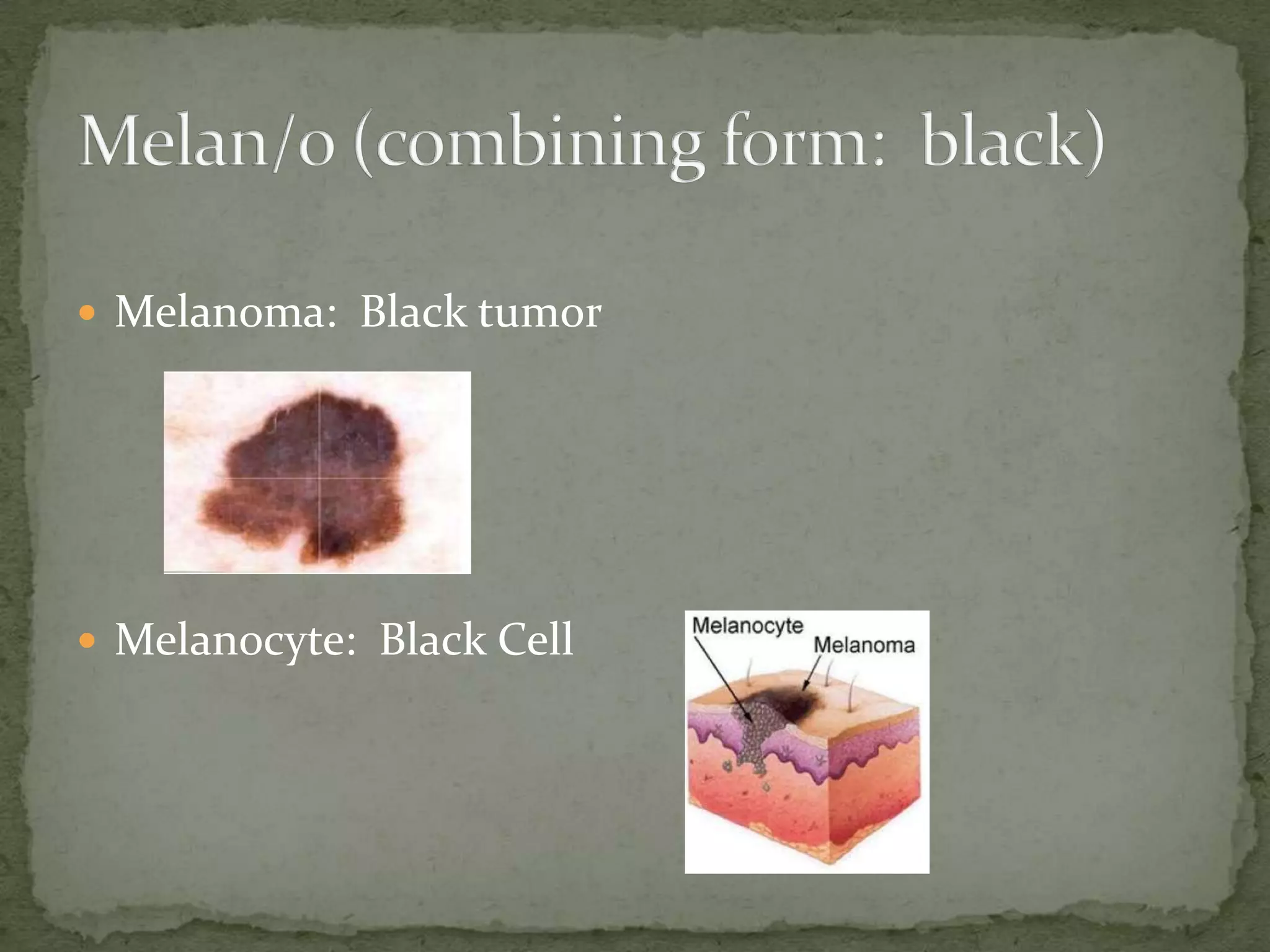 Presentation 3 | PPTX