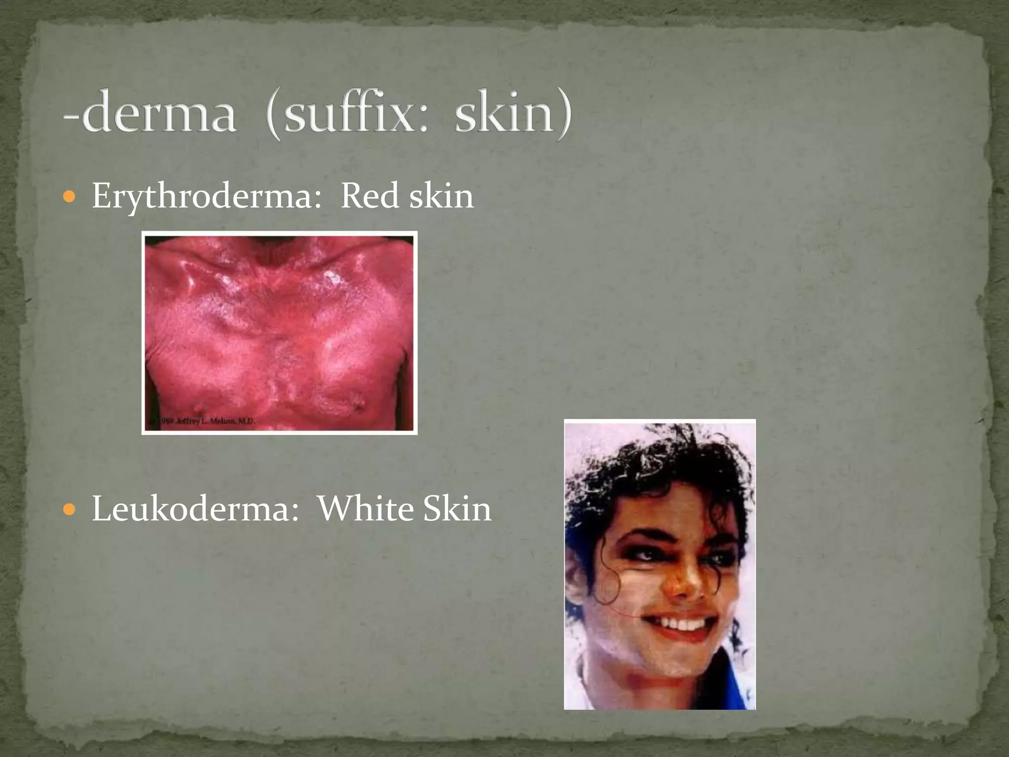 Presentation 3 | PPTX