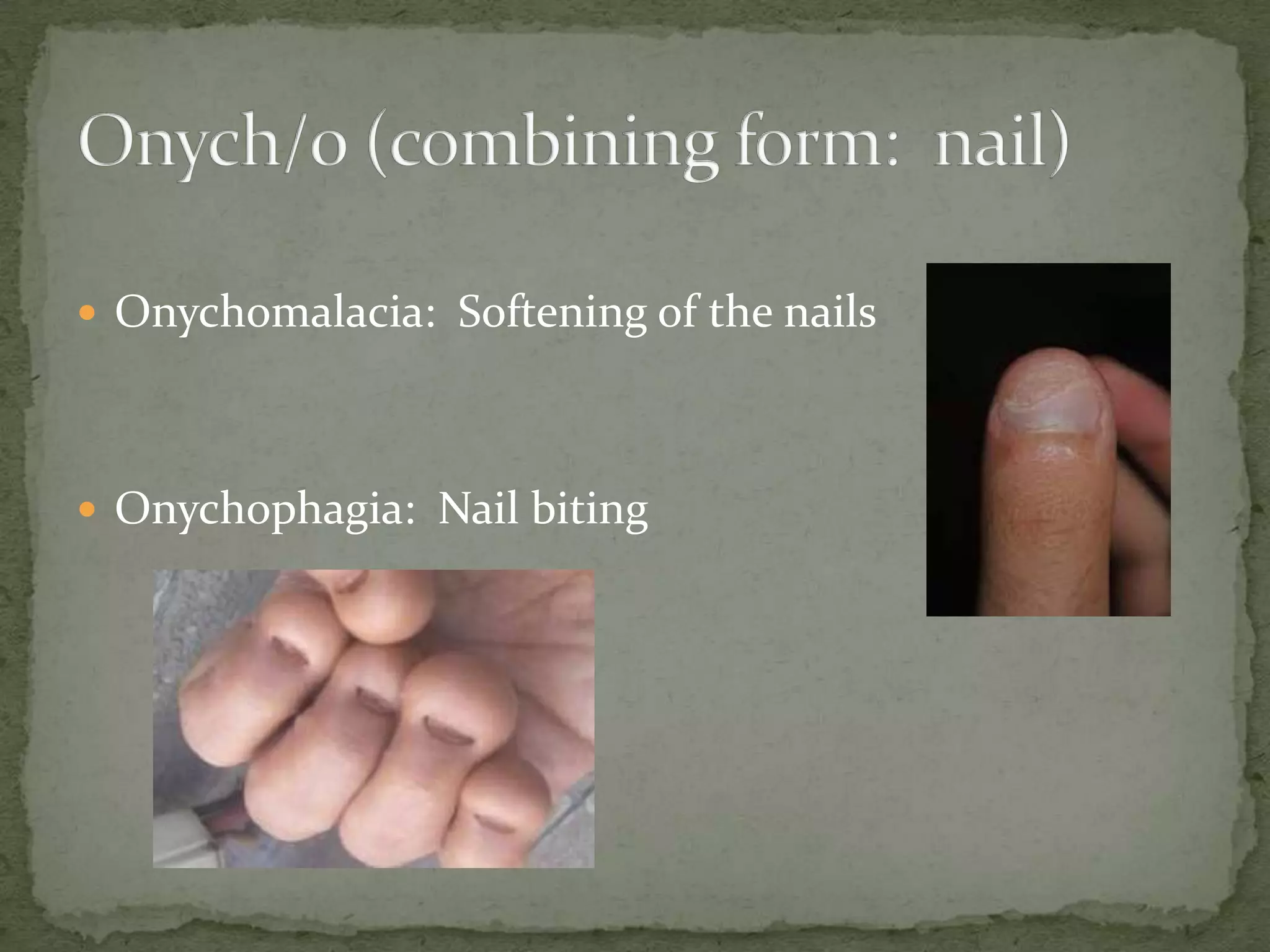 Presentation 3 | PPTX