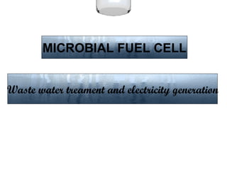 microbial fuel cell | PPT