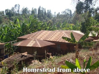 Homestead in Murang'a Kenya | PPTX