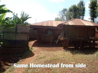 Homestead in Murang'a Kenya | PPTX
