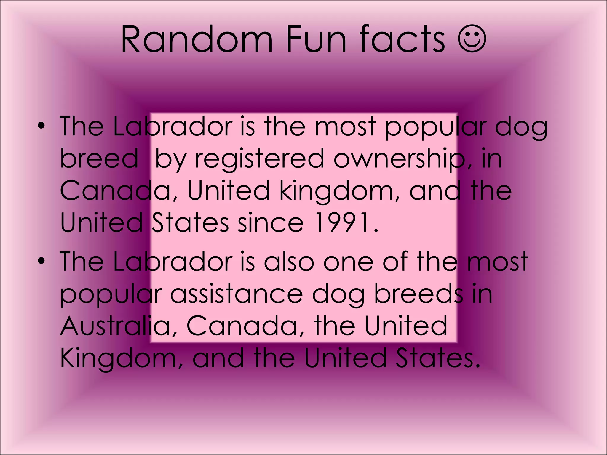 LABRADOR RETRIEVERS | PPT LABRADOR RETRIEVERS | PPT