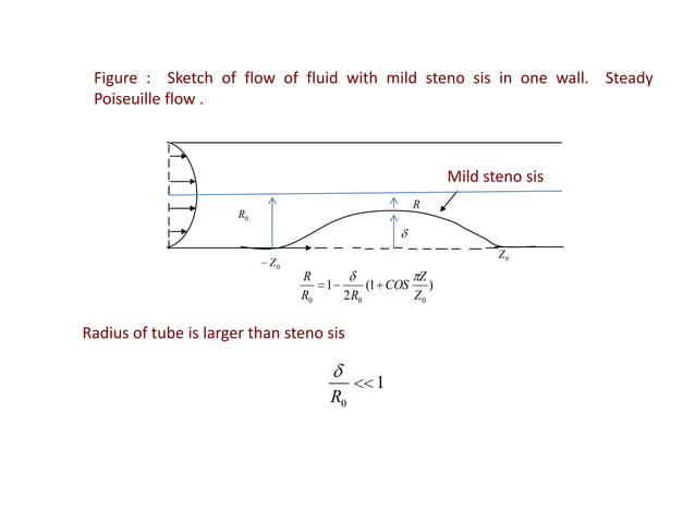 mathematical modelling of cardiovascular system | PPTX | Physics | Science