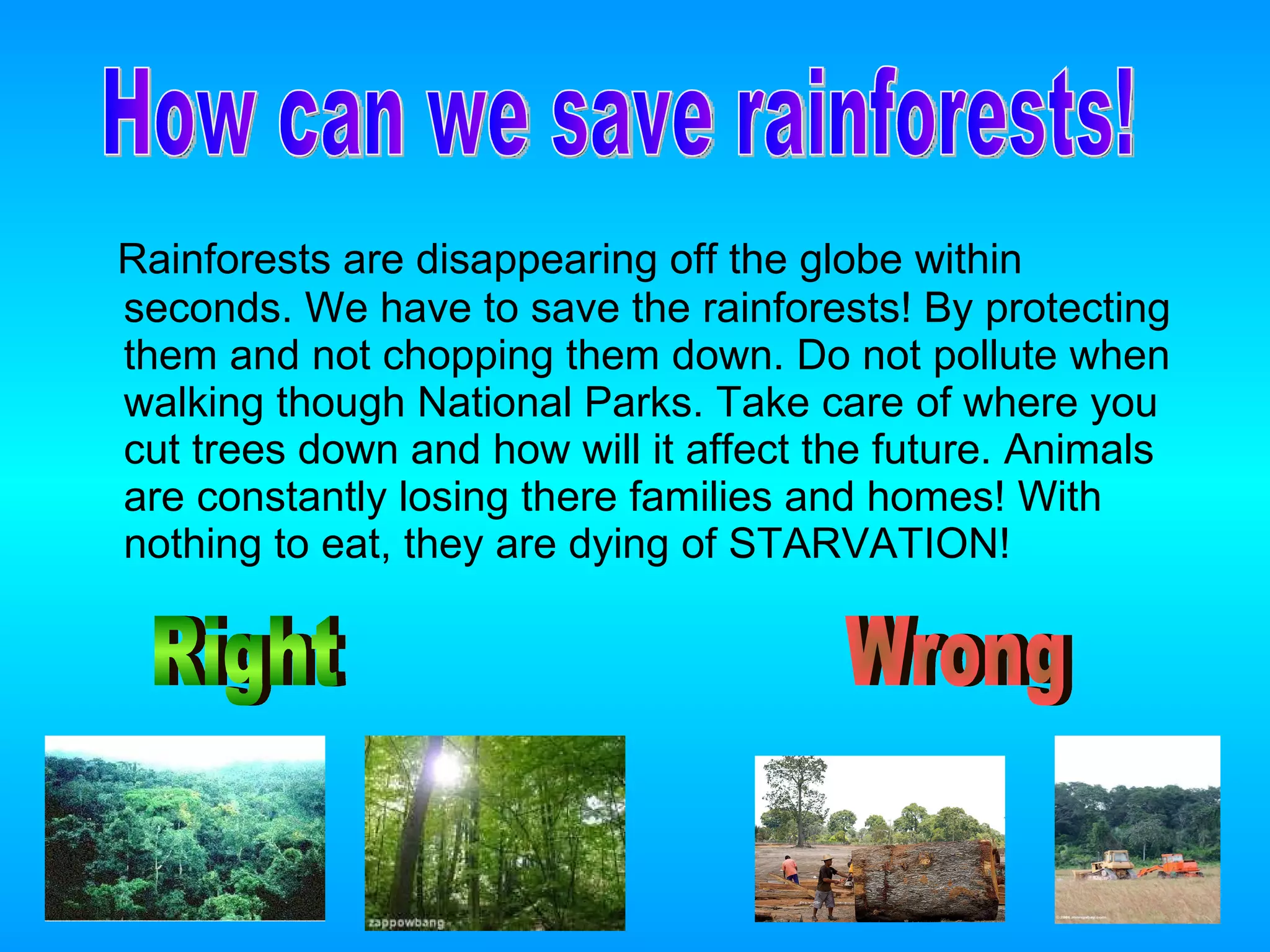 Rainforest Challenge | PPT