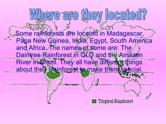 Rainforest Challenge | PPT