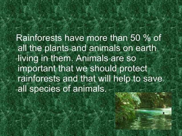 Rainforest Challenge | PPT