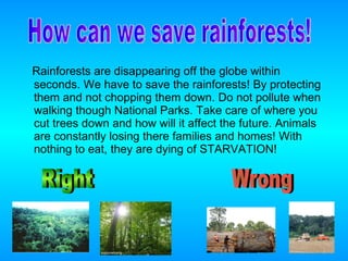 Rainforest Challenge | PPT